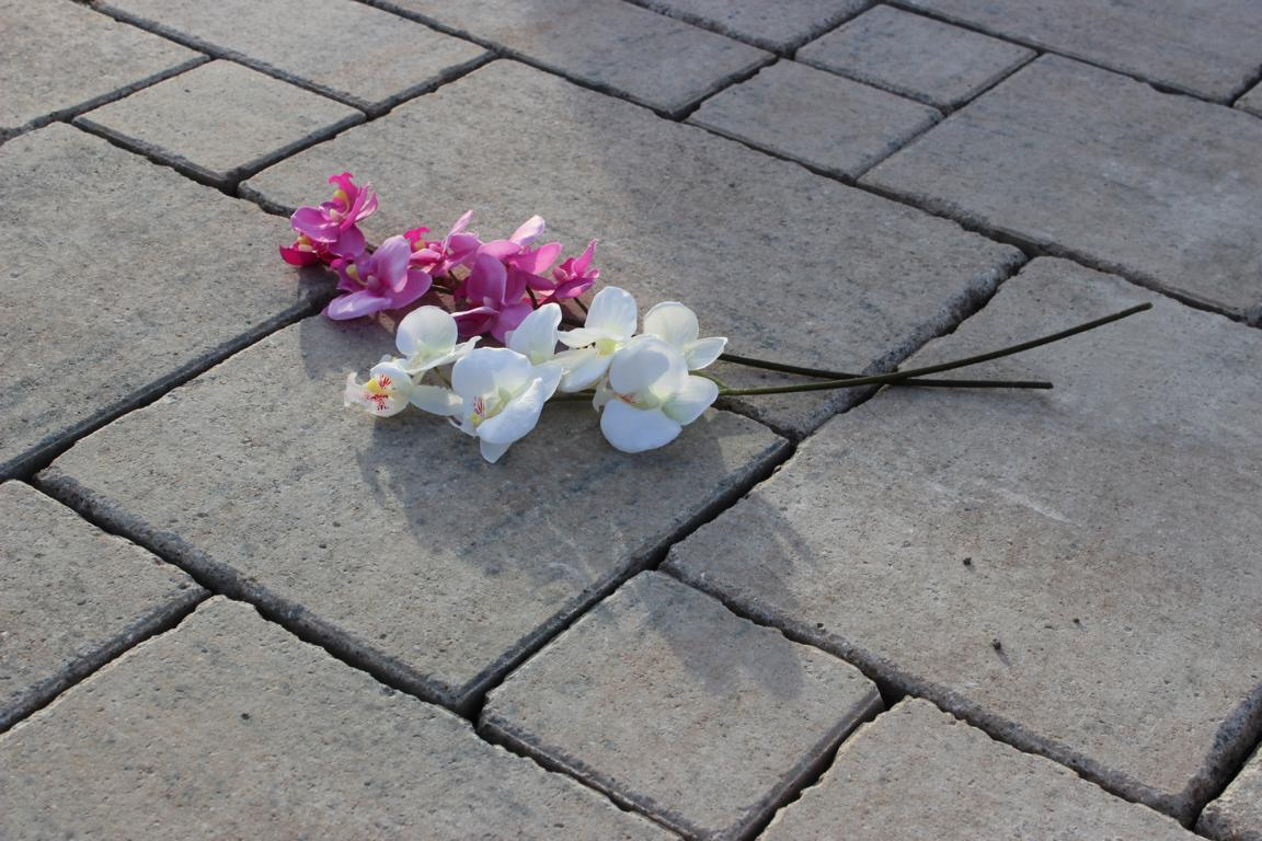 VIA ROYAL ANTIK MUSCHELKALK - Steine, Gartenbaustoffe, Wegeb - Mein ...